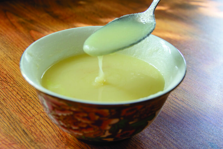 How to Render Lard and Other Animal Fats for Cooking – Mother Earth News